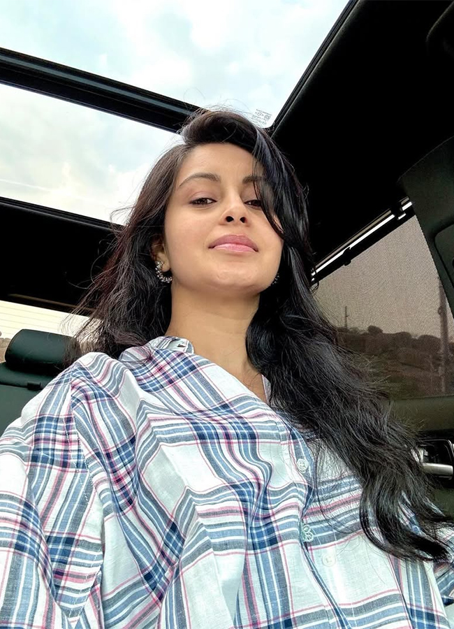 ప్రియుడితో 'అభినయ' నిశ్చితార్థం.. వివరాలు ఇవే (ఫోటోలు) | Actress Abhinaya Engagement With ...